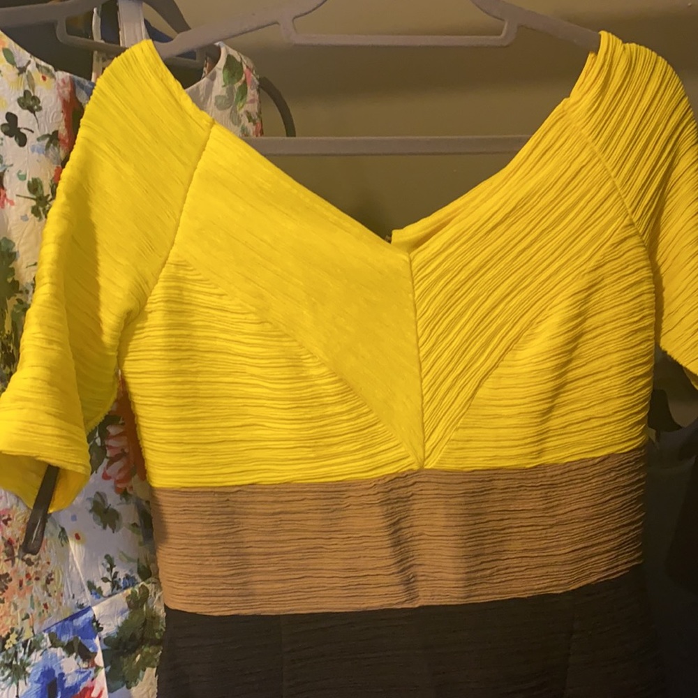 Nue By Shani Colorblock Mini Dress - Gem